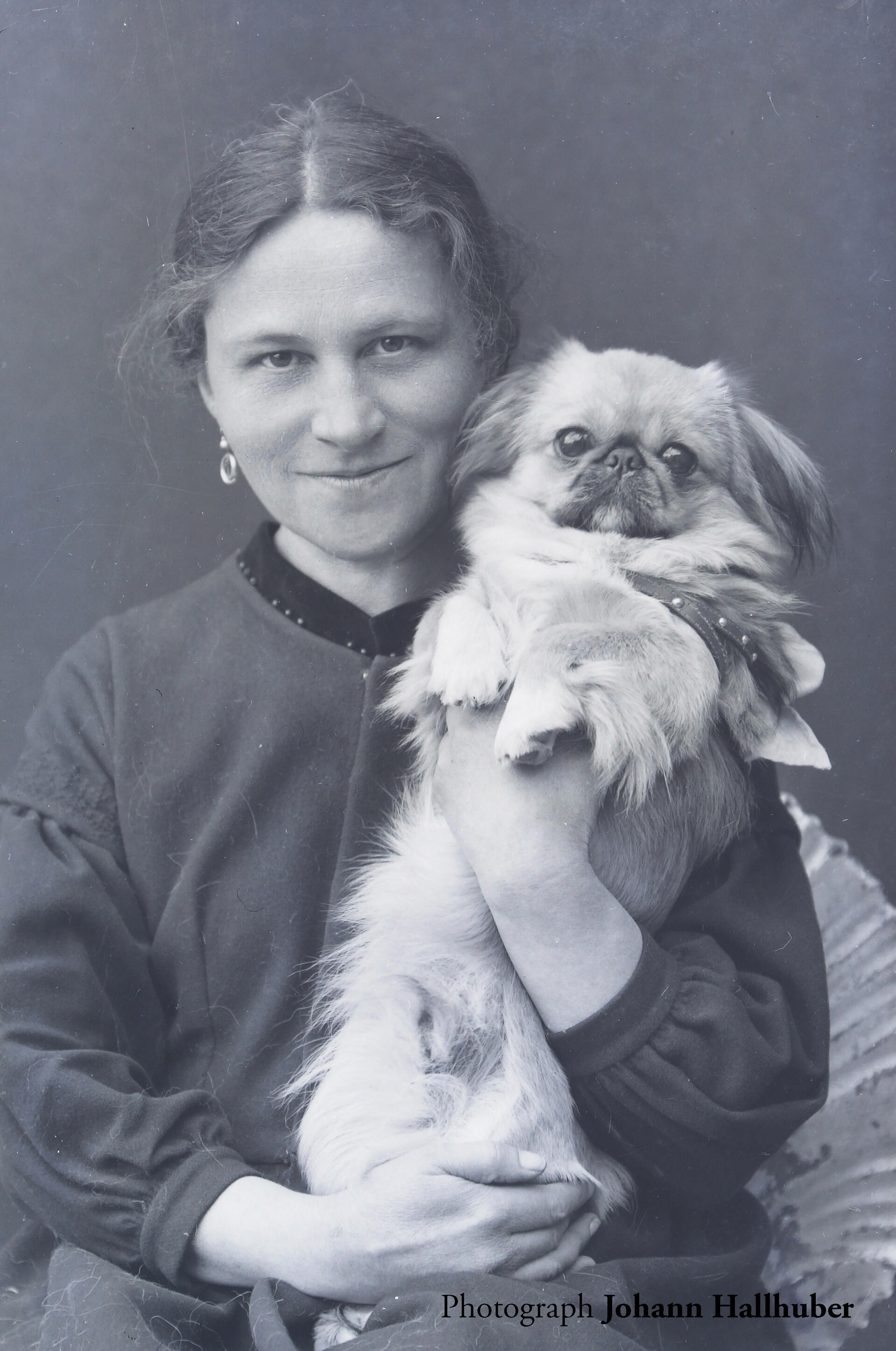 Meidinger-Scherenschnitte im Rathausfletz - Stadt Neuburg an der Donau